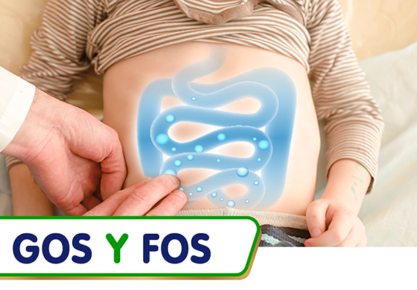 Infografía sobre GOS y FOS, sistema digestivo | NNI